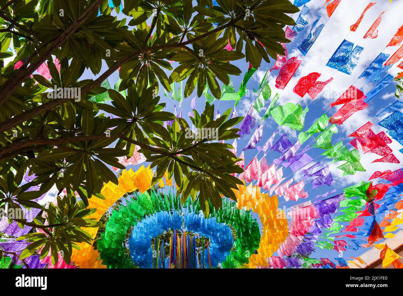 Papel picado decorations in the historical centre of Oaxaca de Juarez ...