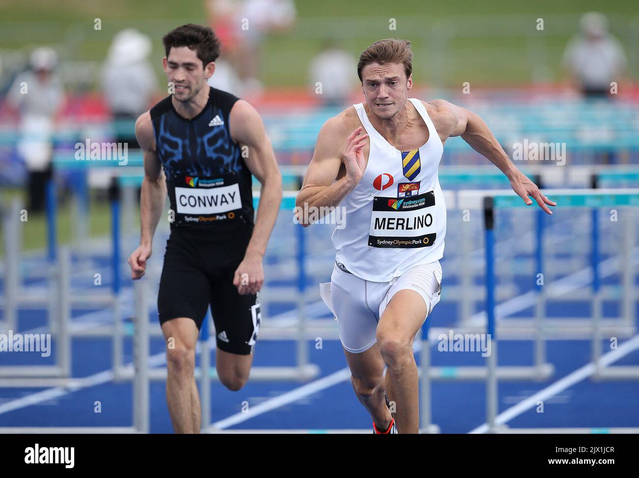 Justin Merlino(right) wins the mens 110m hurdles event during the ...
