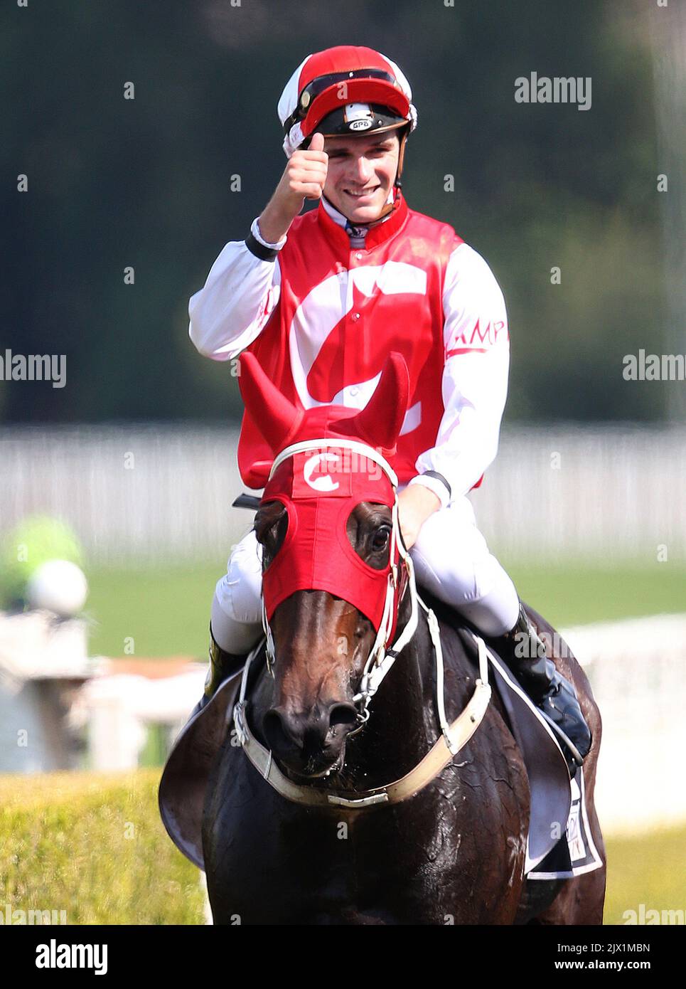 Jockey Sam Clipperton on Ammirata gestures to the crowd after winning ...