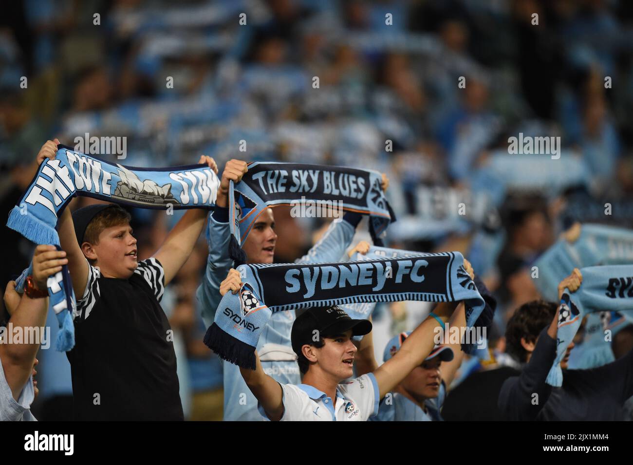 Sydney FC fans cheer during their AFC Champions League match between ...