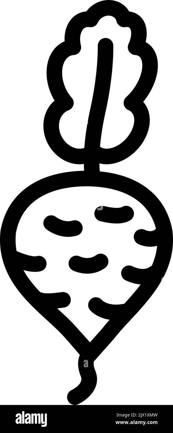 yellow radish line icon vector illustration Stock Vector Image & Art ...