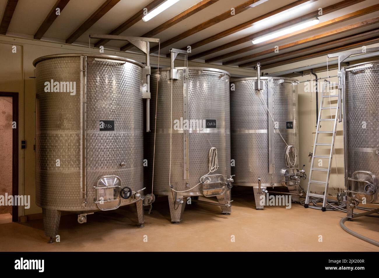 Stages of wine production from fermentation to bottling, visit to wine ...