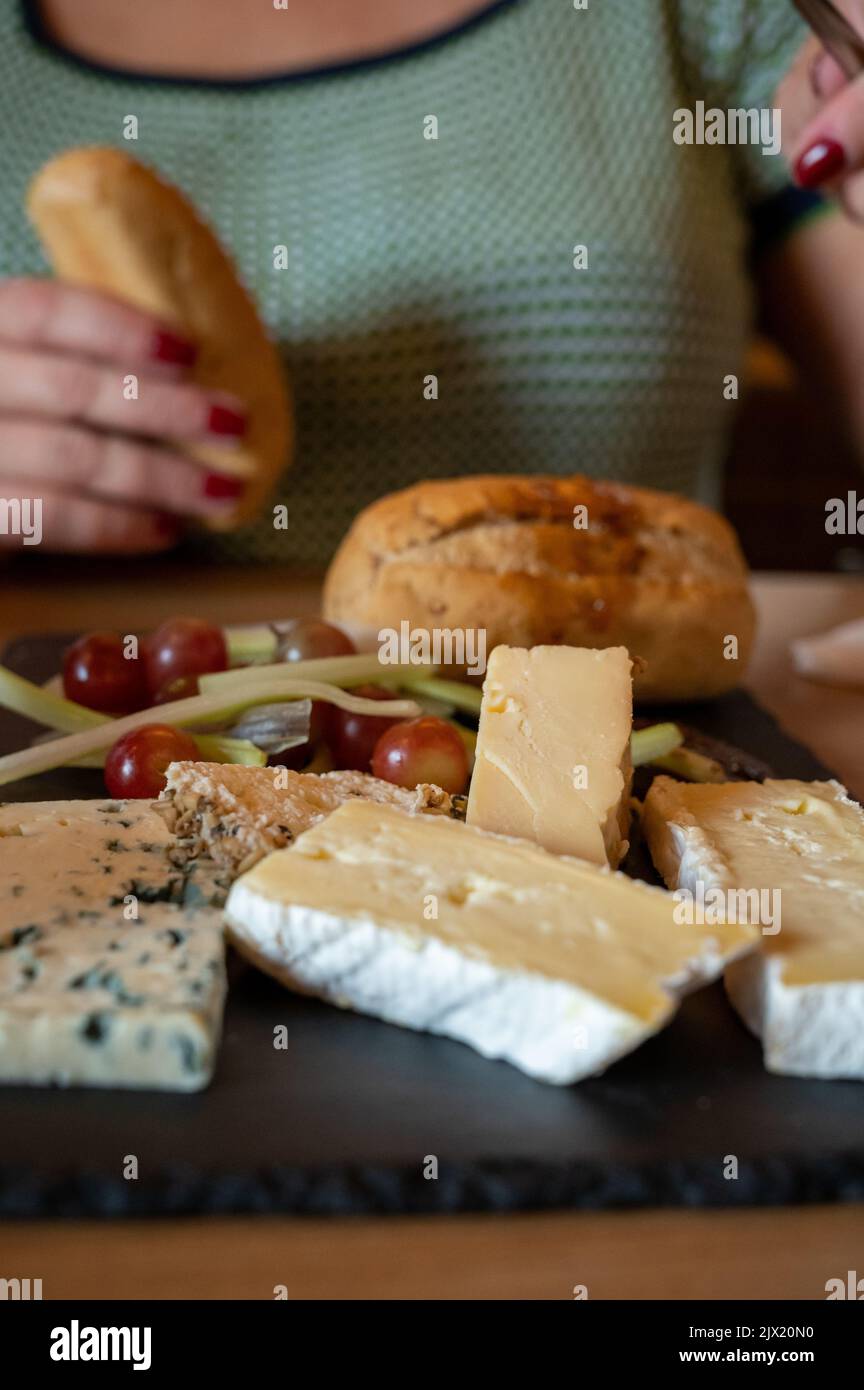 Tasting of fresh farmers scottish cheeses smoked cheddar, stilton, blue ...