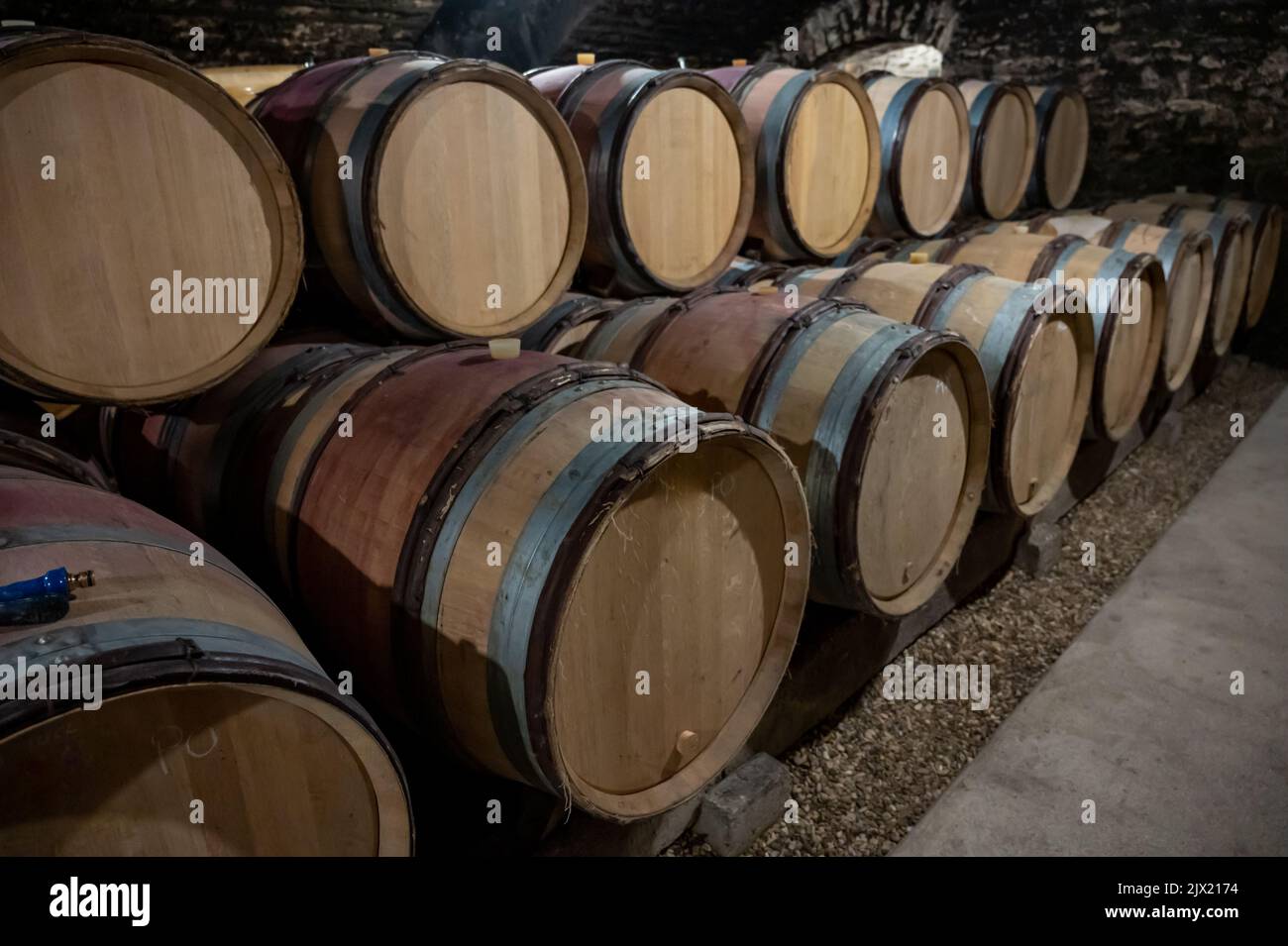 Stages of wine production from fermentation to bottling, visit to wine ...