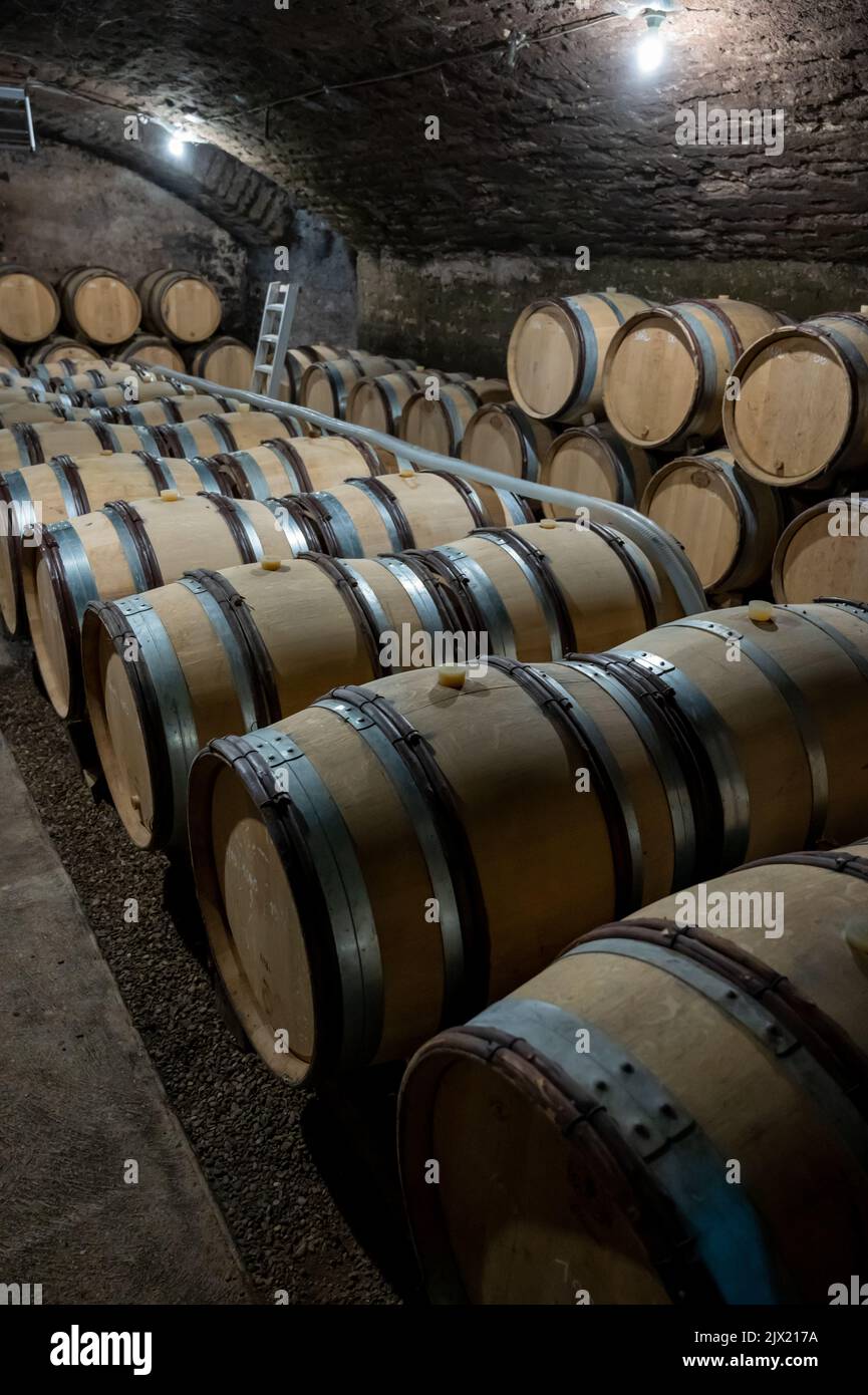 Winemaking stages hi-res stock photography and images - Alamy