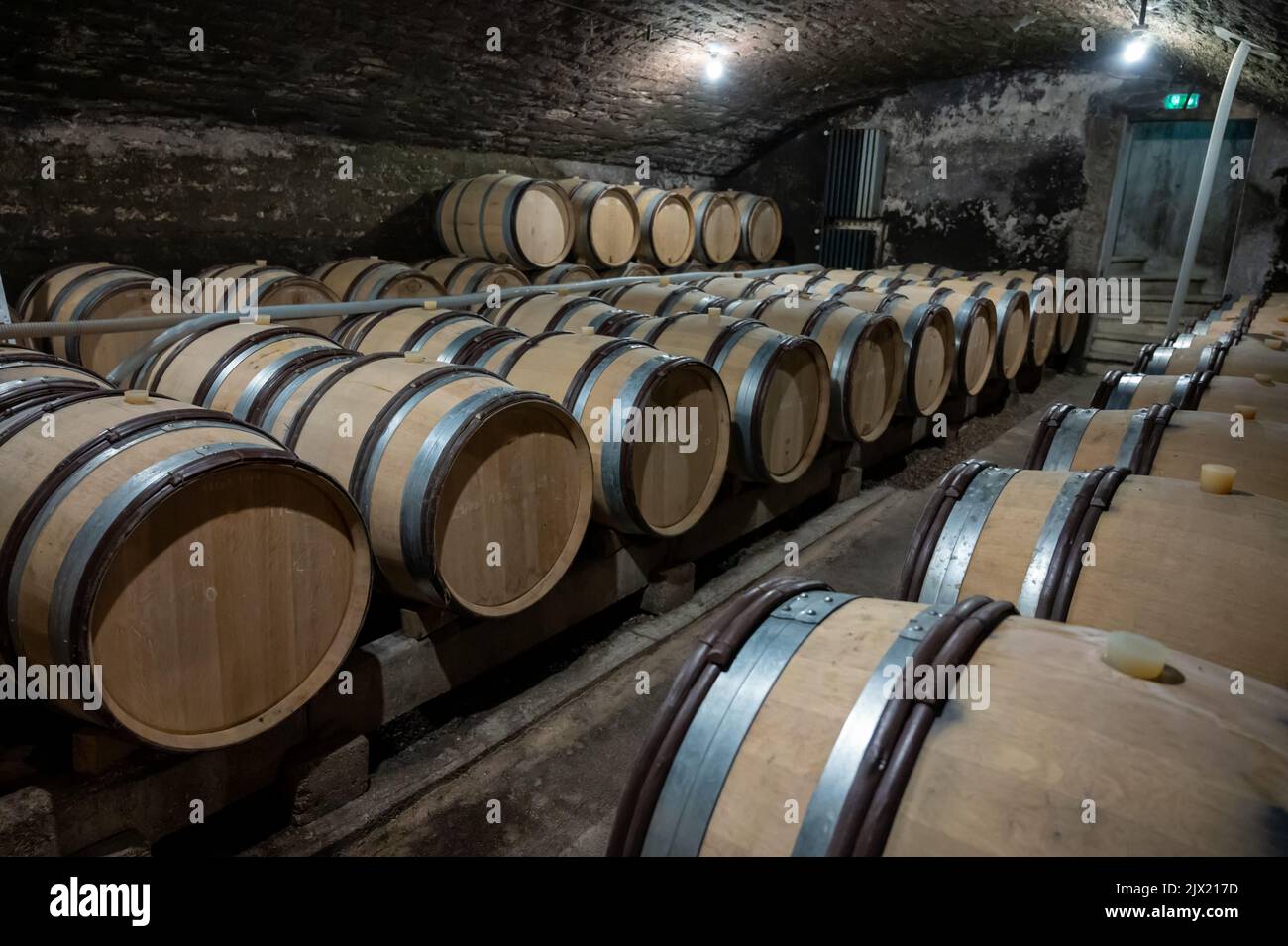 Stages of wine production from fermentation to bottling, visit to wine ...