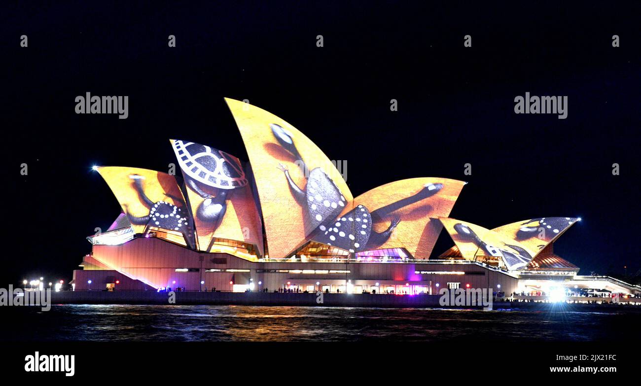 The sails on the Sydney Opera House are seen lit with an art ...