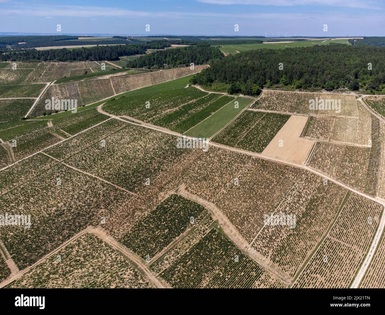 Aerial view on green Chablis Grand Cru appellation vineyards with ...