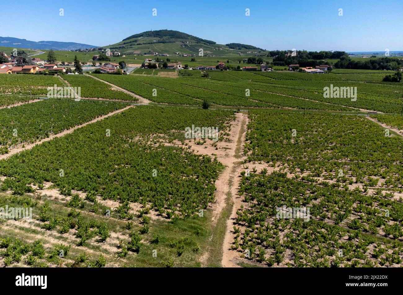 Aerial view on green vineyards and villages near Mont Brouilly, wine ...