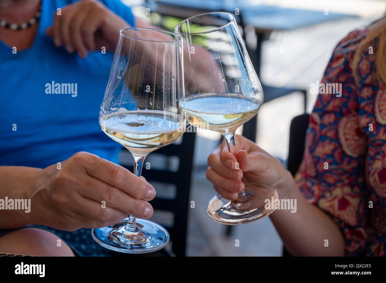 Drinking of txakoli or chacolí slightly sparkling very dry white wine ...