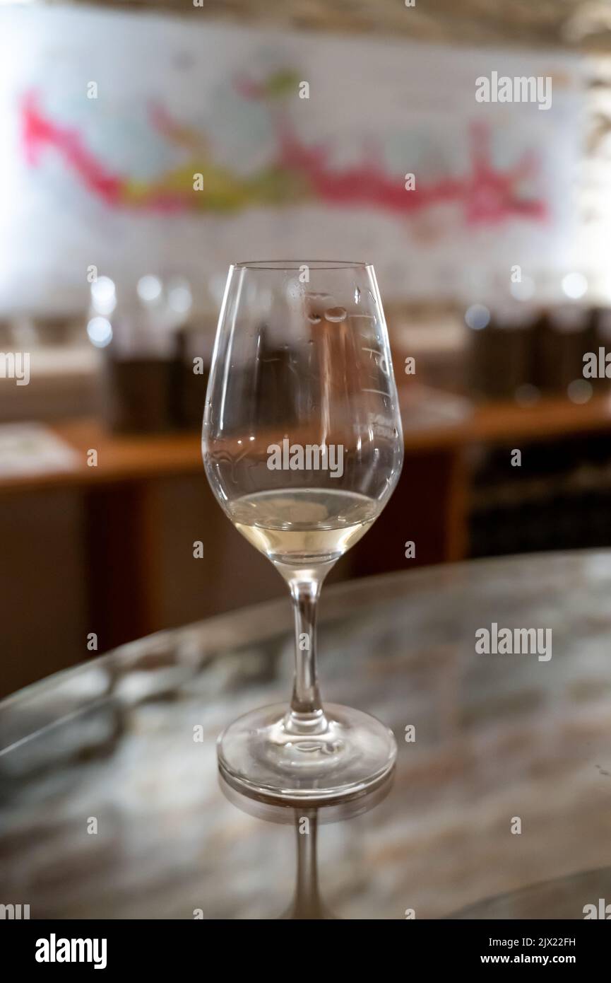 Wine tasting in underground cellars caves of French wine domain in ...
