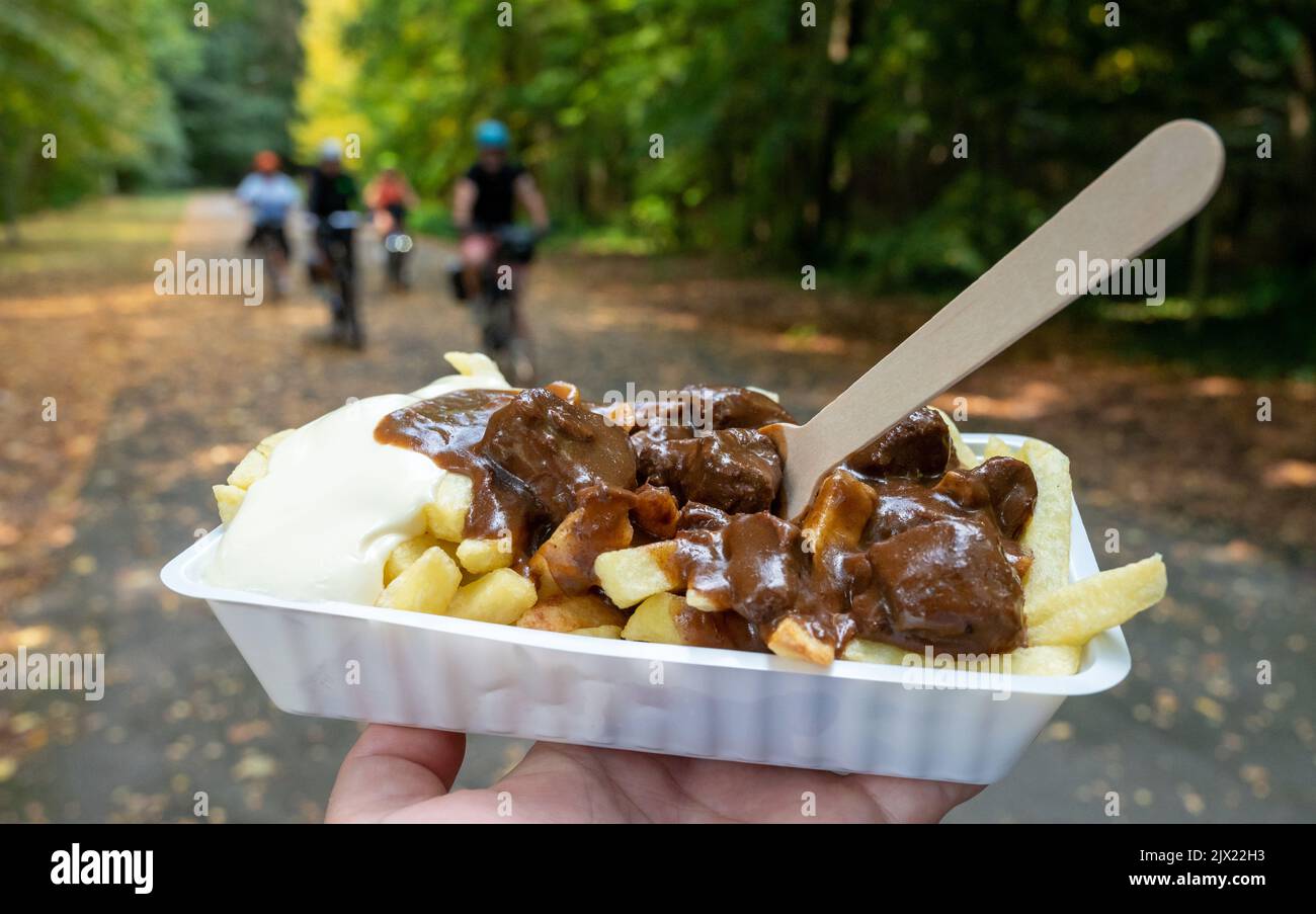 Traditional fast and street food in Belgium, French fried potatoes with ...