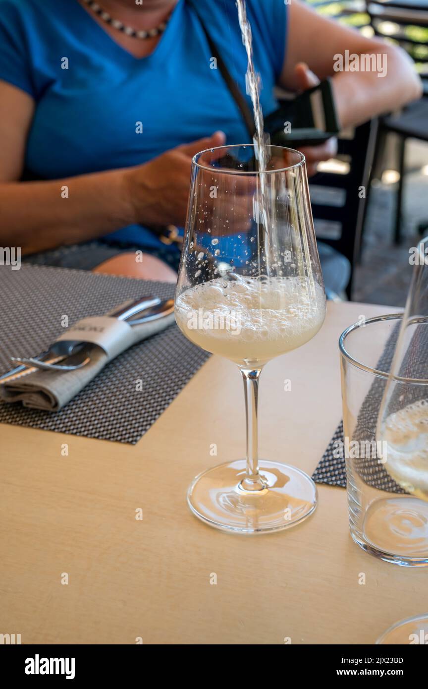 Drinking of txakoli or chacolí slightly sparkling very dry white wine ...