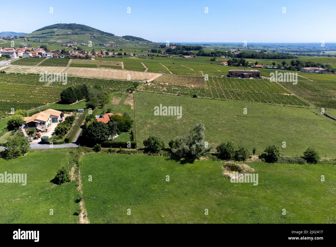 Aerial view on green vineyards and villages near Mont Brouilly, wine ...