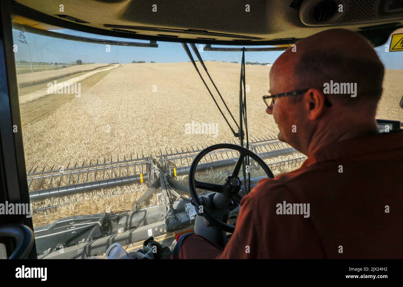 David Reid drives a combine as he harvests the wheat crop near Cremona ...