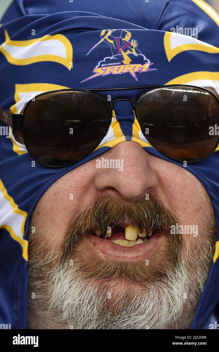 A Storm fan watches the Round 14 NRL match between the Sydney Roosters ...