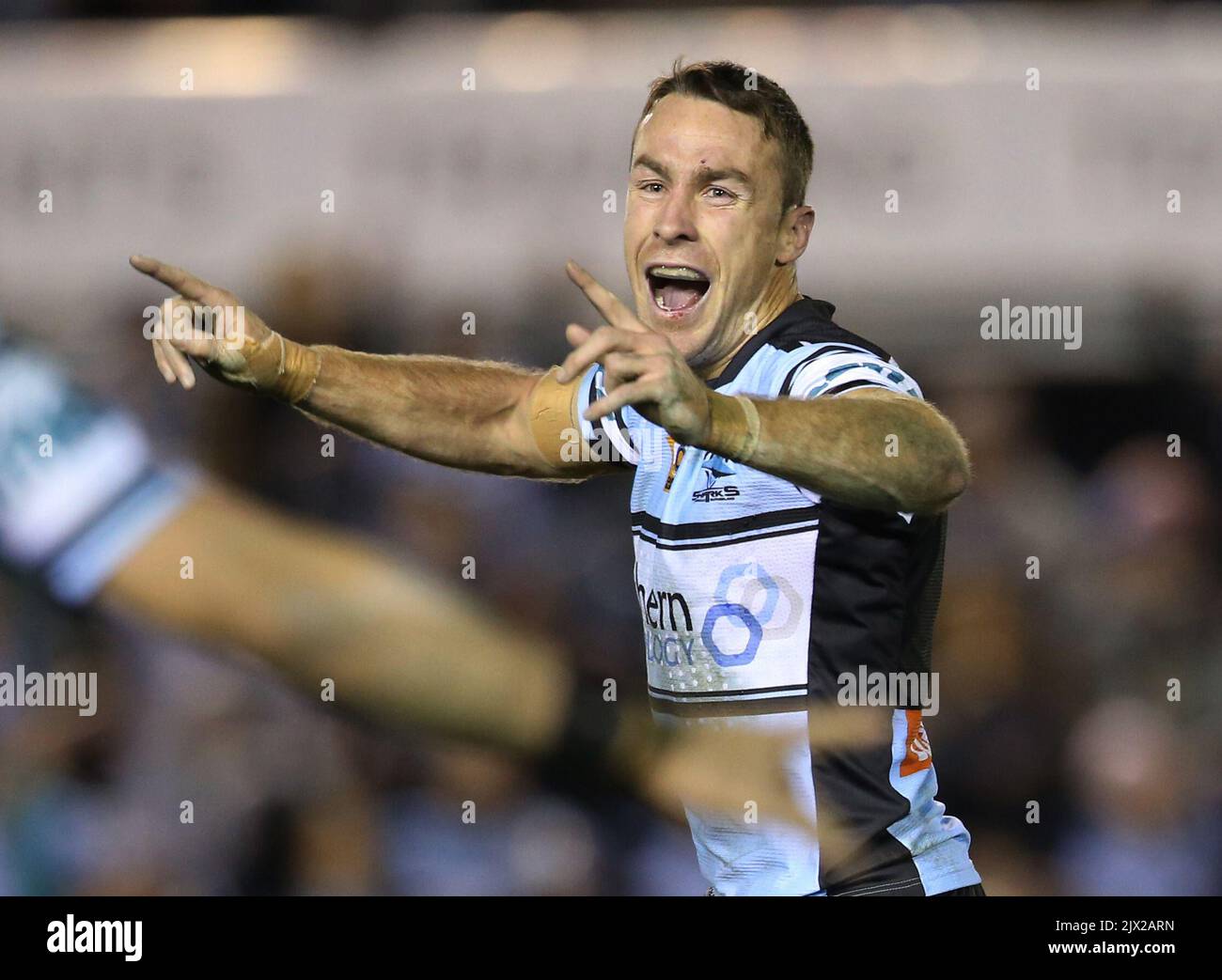 James Maloney of the Sharks during the round 16 NRL match between the ...