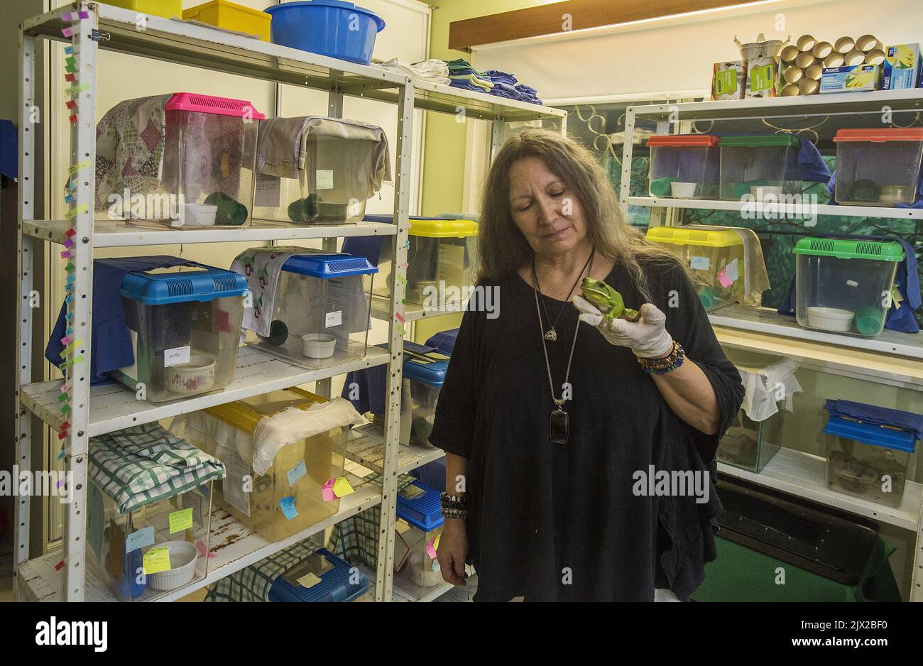 Cairns Frog Hospital president Deborah Pergolotti poses for a ...