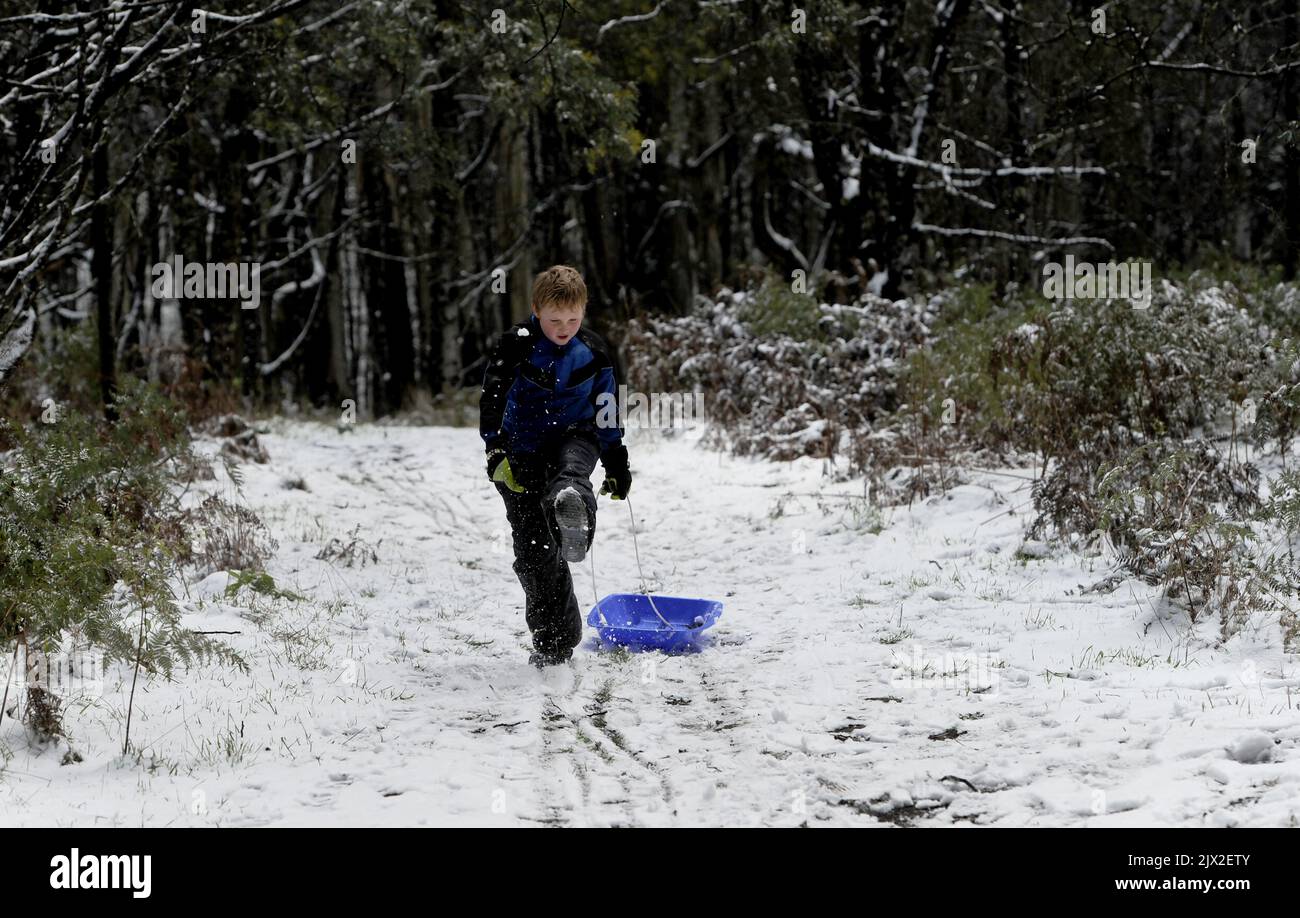 9-year-old Jack Cottingham of Bullengarook playing in the snow at Mount ...