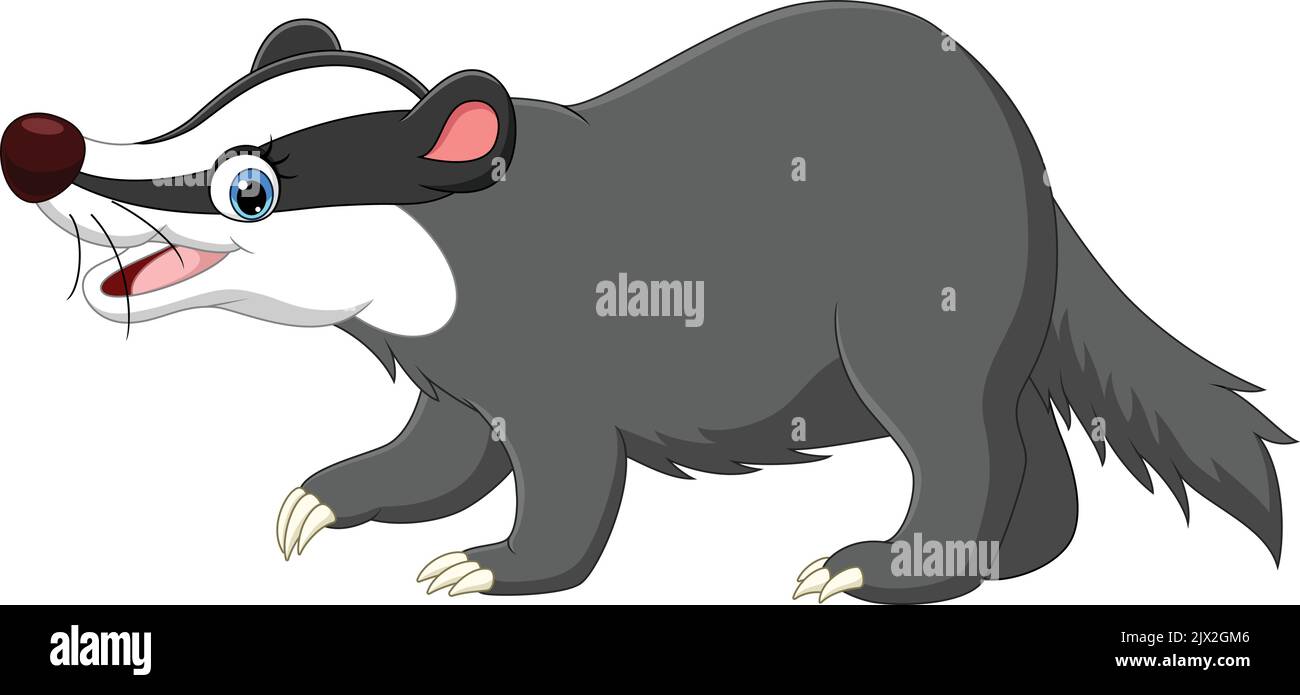 Cartoon badger on white background Stock Vector Image & Art - Alamy