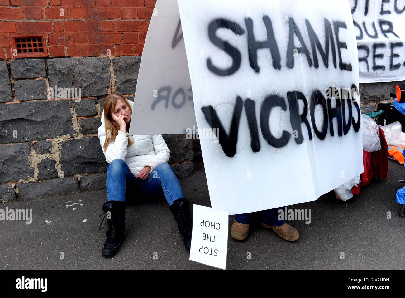 Protesters react as a 100 year old tree cut down on Flemington Road in ...