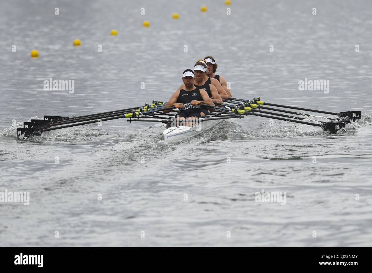 The Men's Quadruple scull team of New Zealand in action during the Heat ...
