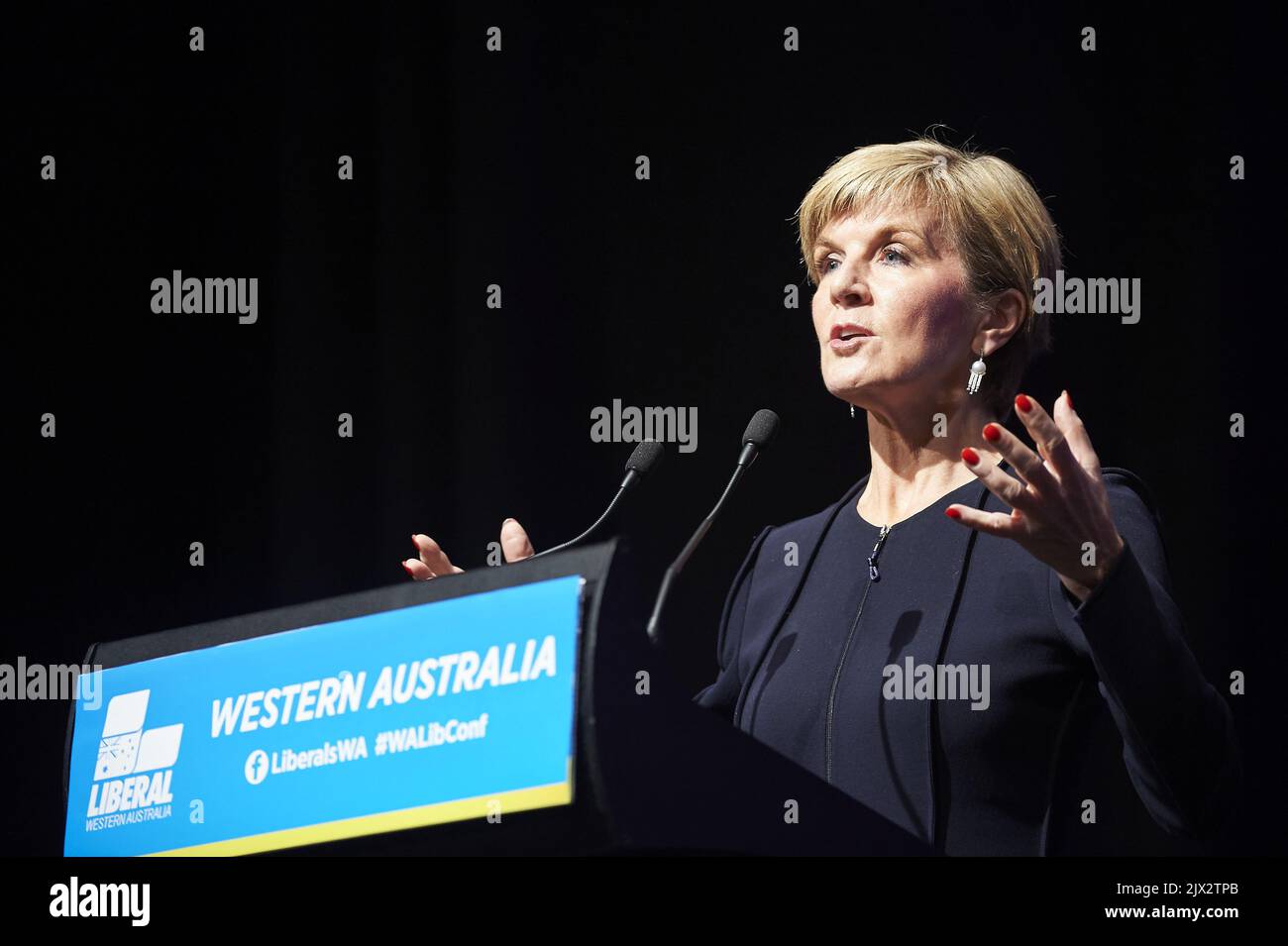 Foreign Minister Julie Bishop addresses the State Liberal Party ...