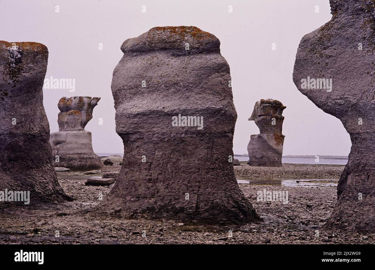 Monoliths in Mingan Archipelago, Quebec Stock Photo - Alamy