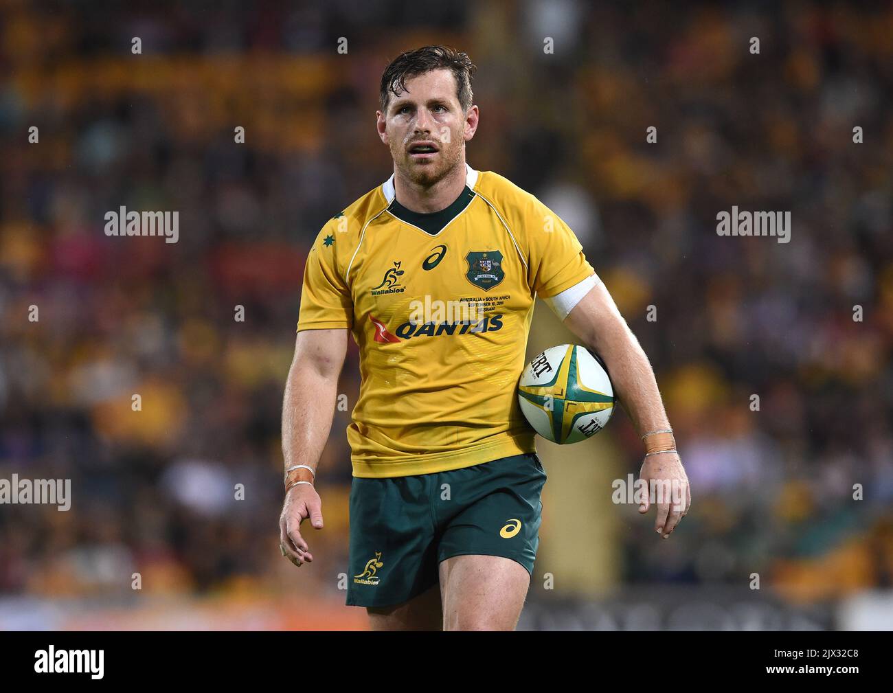 Wallabies player Bernard Foley looks on during the Rugby Championship ...
