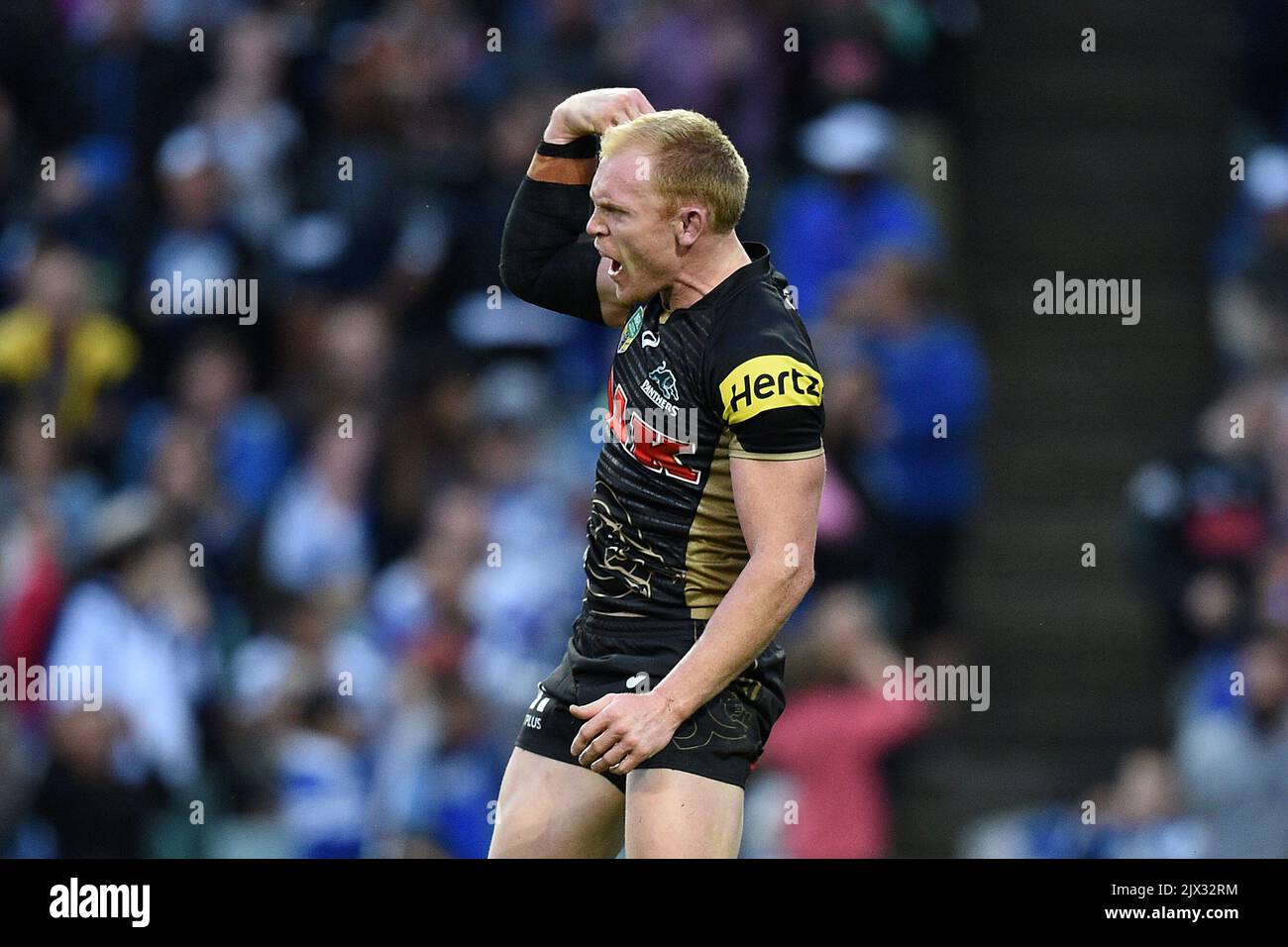 Peter Wallace of the Panthers celebrates after scoring a try during the ...