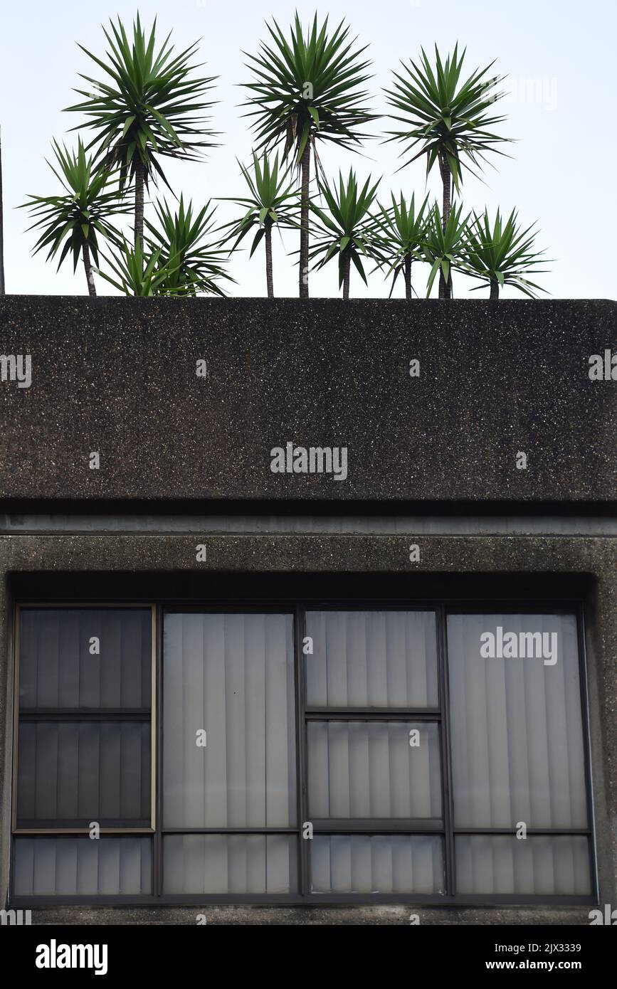 The Sirius Apartments at 44 Cumberland Street in The Rocks, Sydney ...
