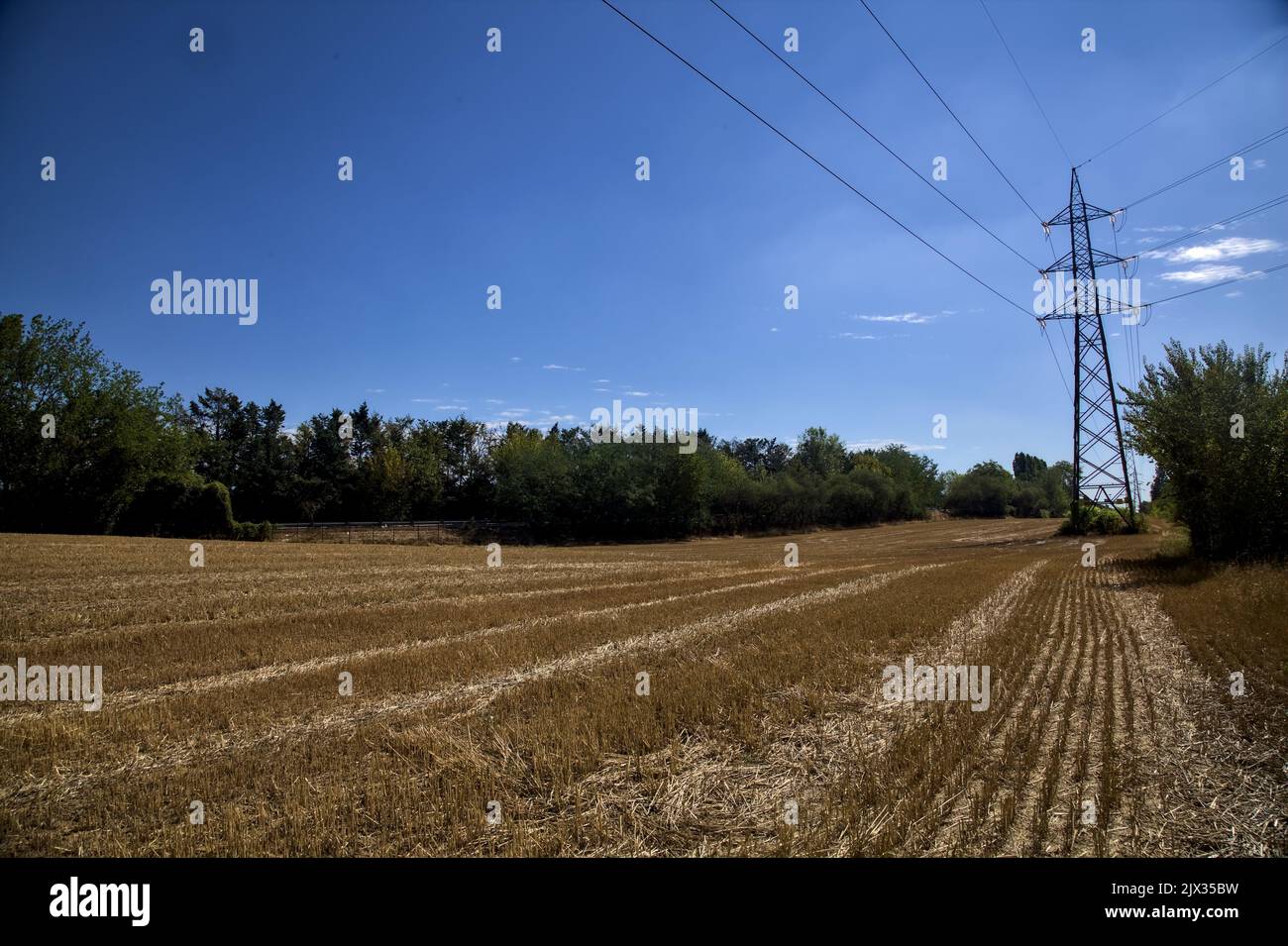 Mowed wheat field with electricity pylons bordered by trees on a sunny ...