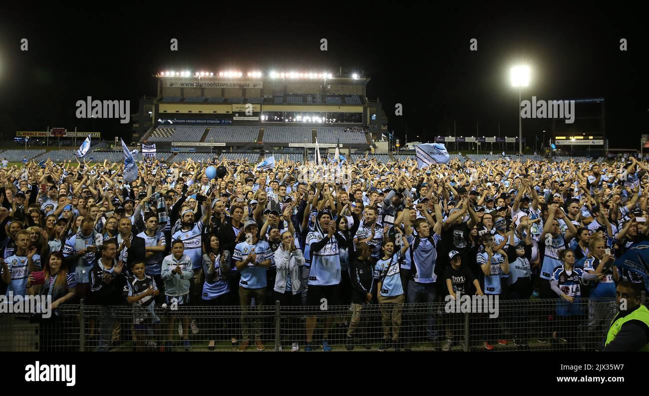 Sharks fans cheer the Cronulla team on the balcony of Southern Cross ...