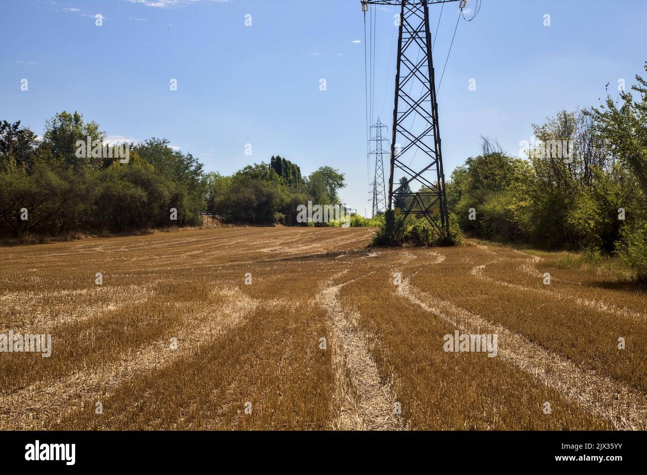 Mowed wheat field with electricity pylons bordered by trees on a sunny ...