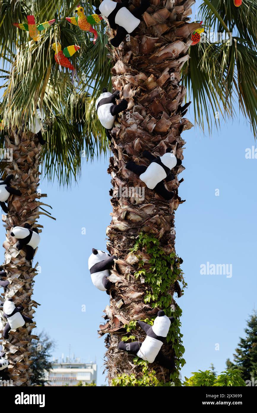 Soft panda toys with parrots decoration on palm trees vertical photo ...