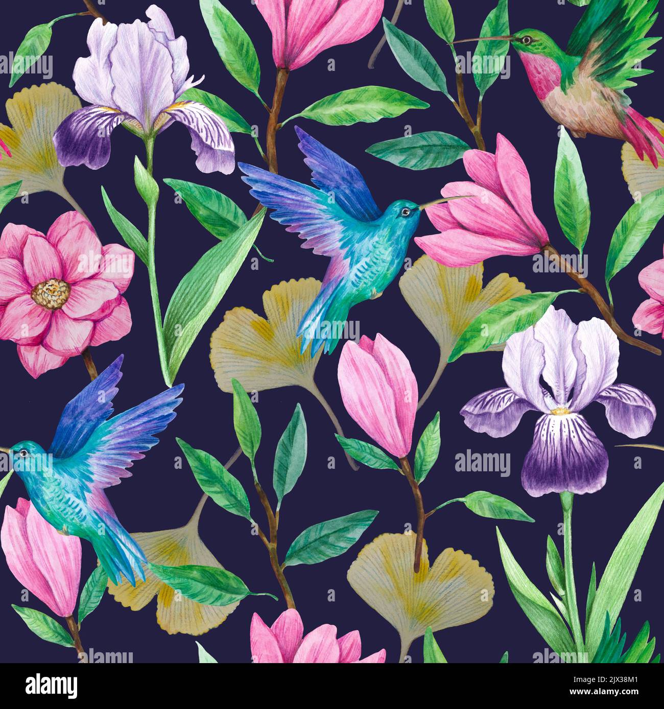 Hummingbirds, magnolia and iris flowers. Watercolor illustration ...