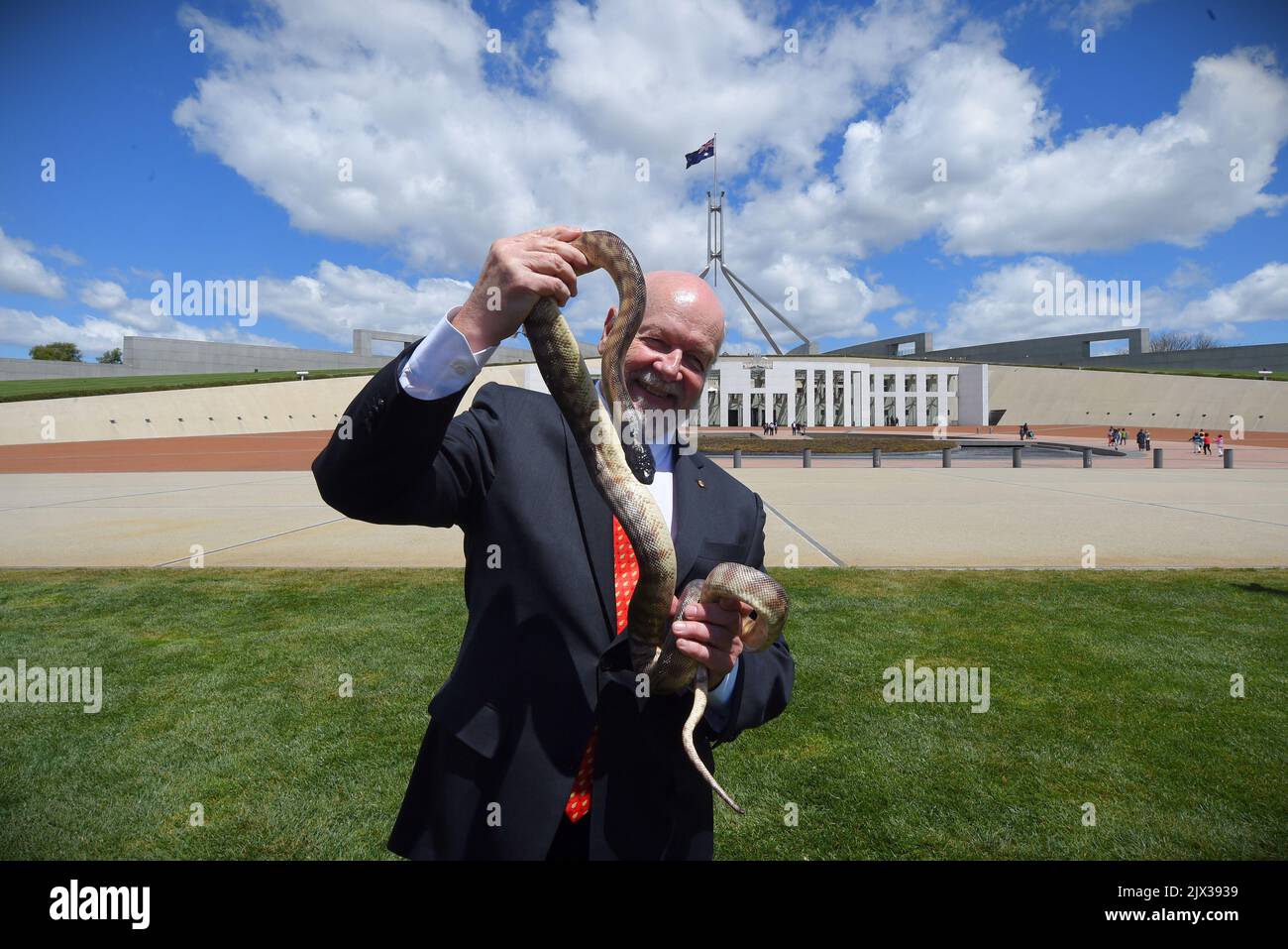 Professor Richard Shine poses with a black headed python outside ...