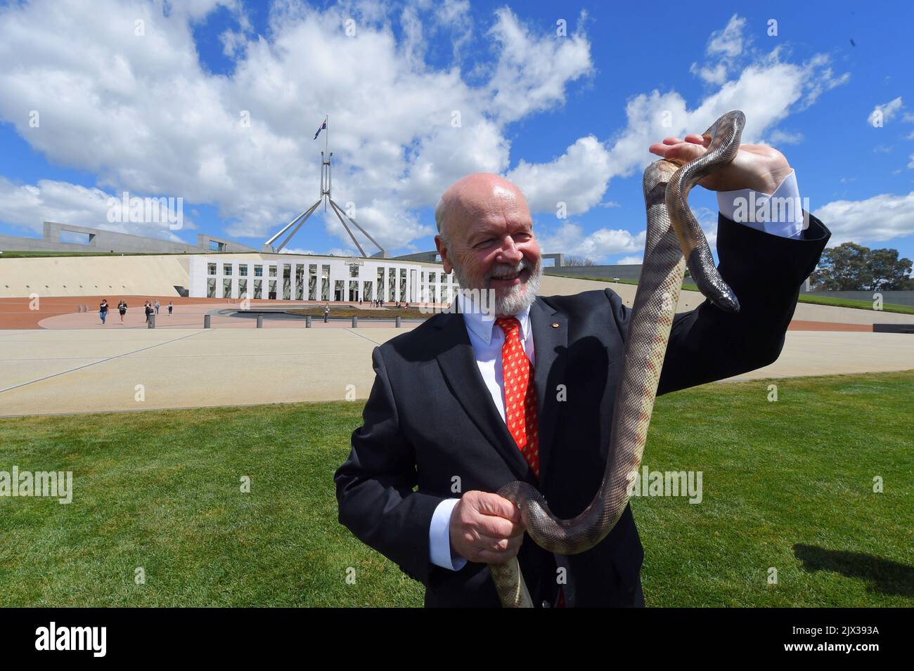 Professor Richard Shine poses with a black headed python outside ...