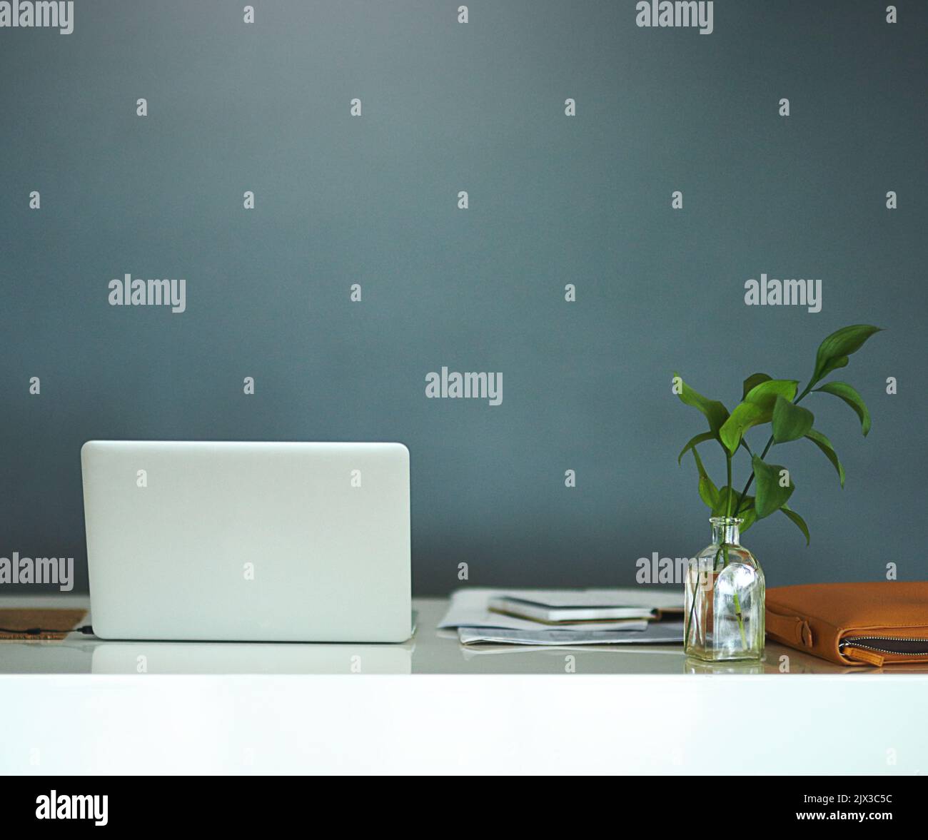 Everything a blogger needs. a laptop on a desk in a creative business ...