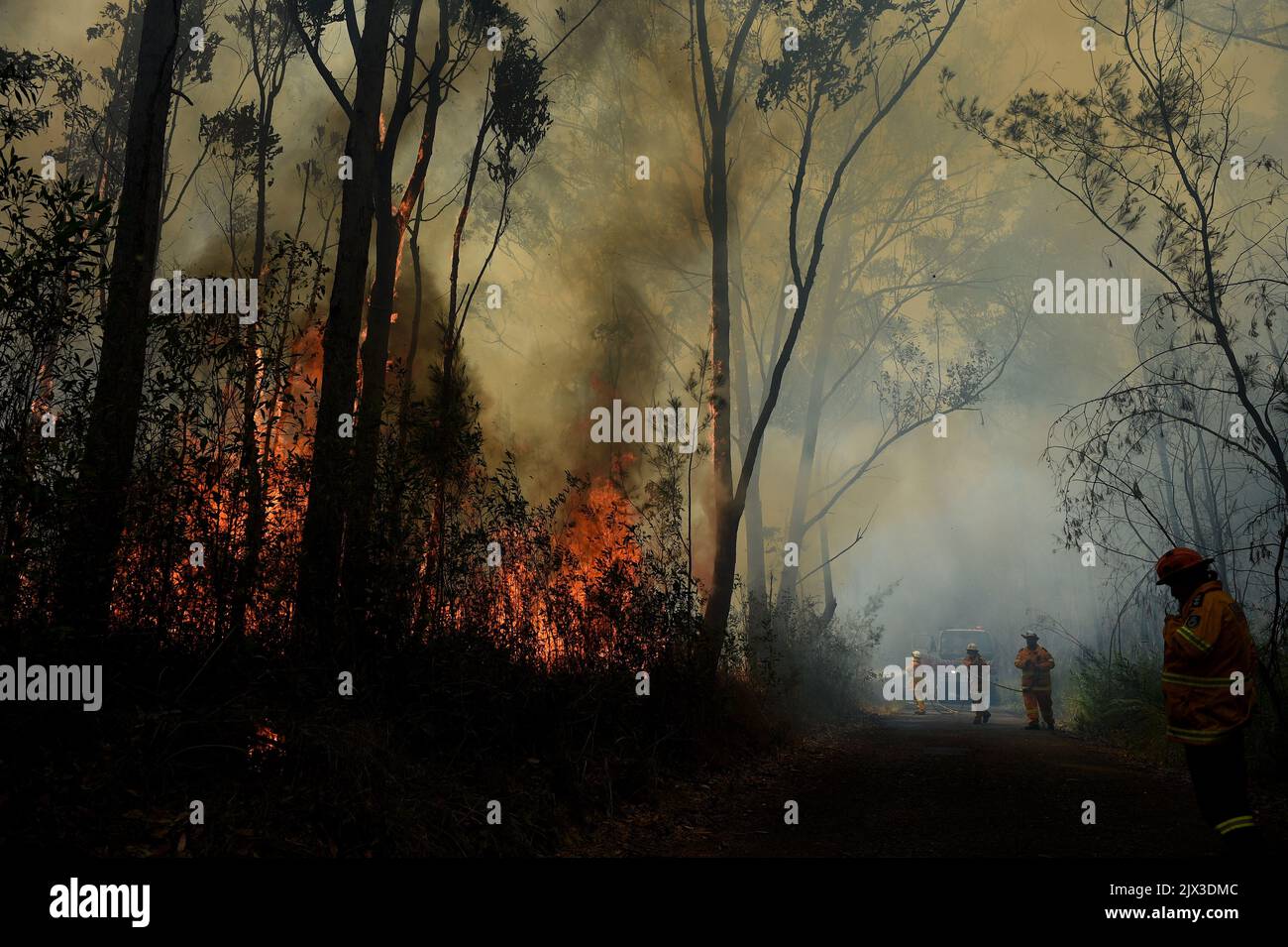 NSW Rural Fire Service firefighters monitor a back burning operation on ...