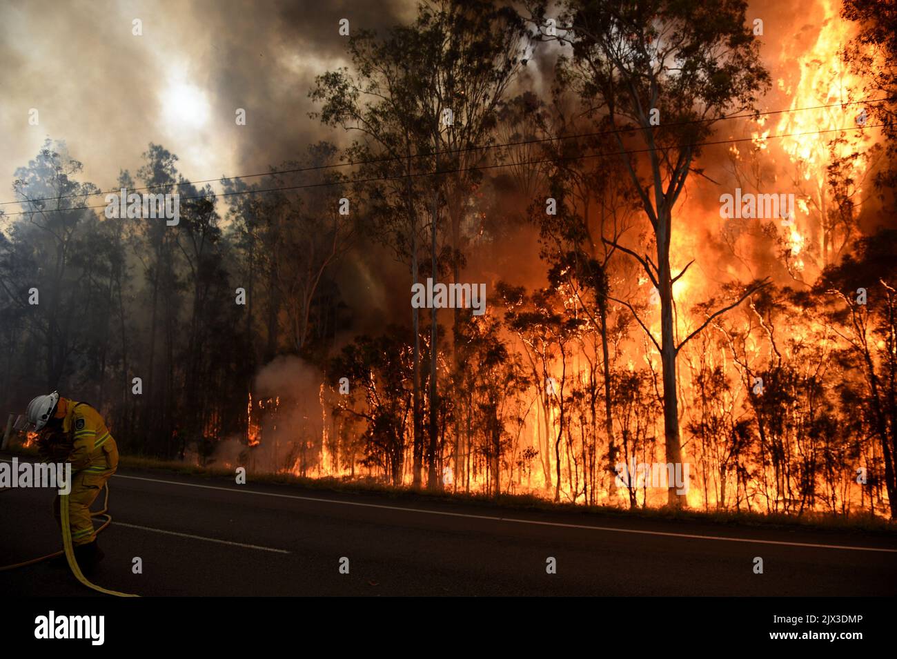 NSW Rural Fire Service firefighters fight a fire on Medowie Rd, at ...