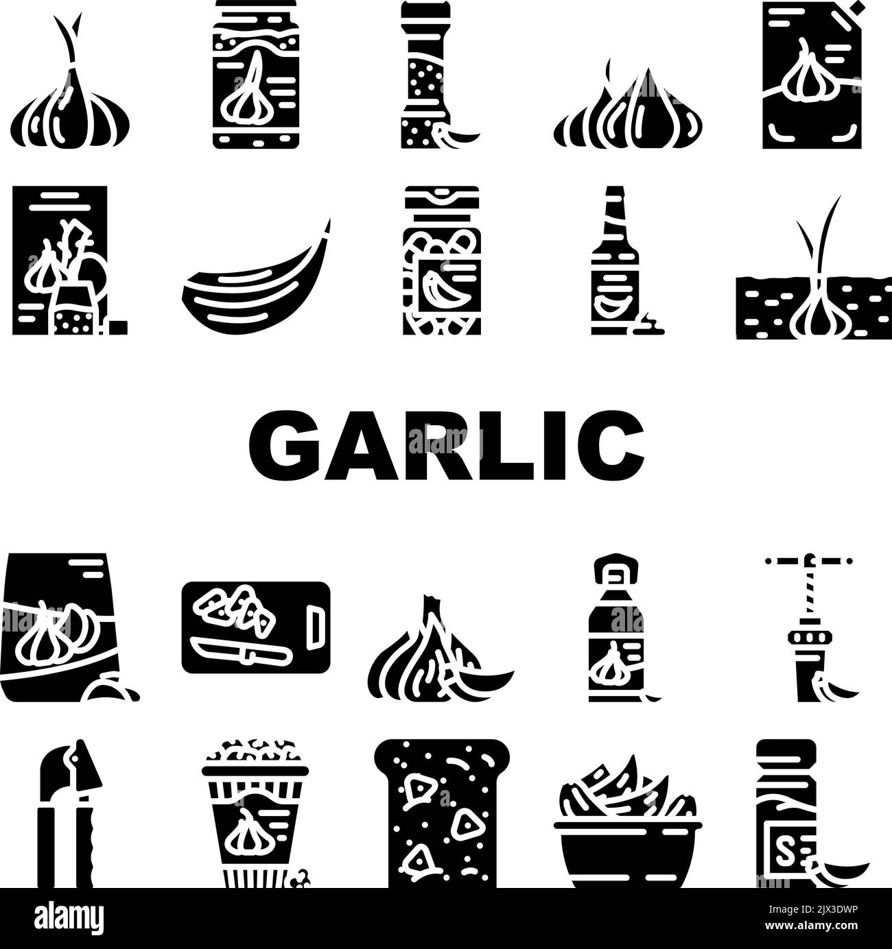 garlic white clove fresh icons set vector Stock Vector Image & Art - Alamy