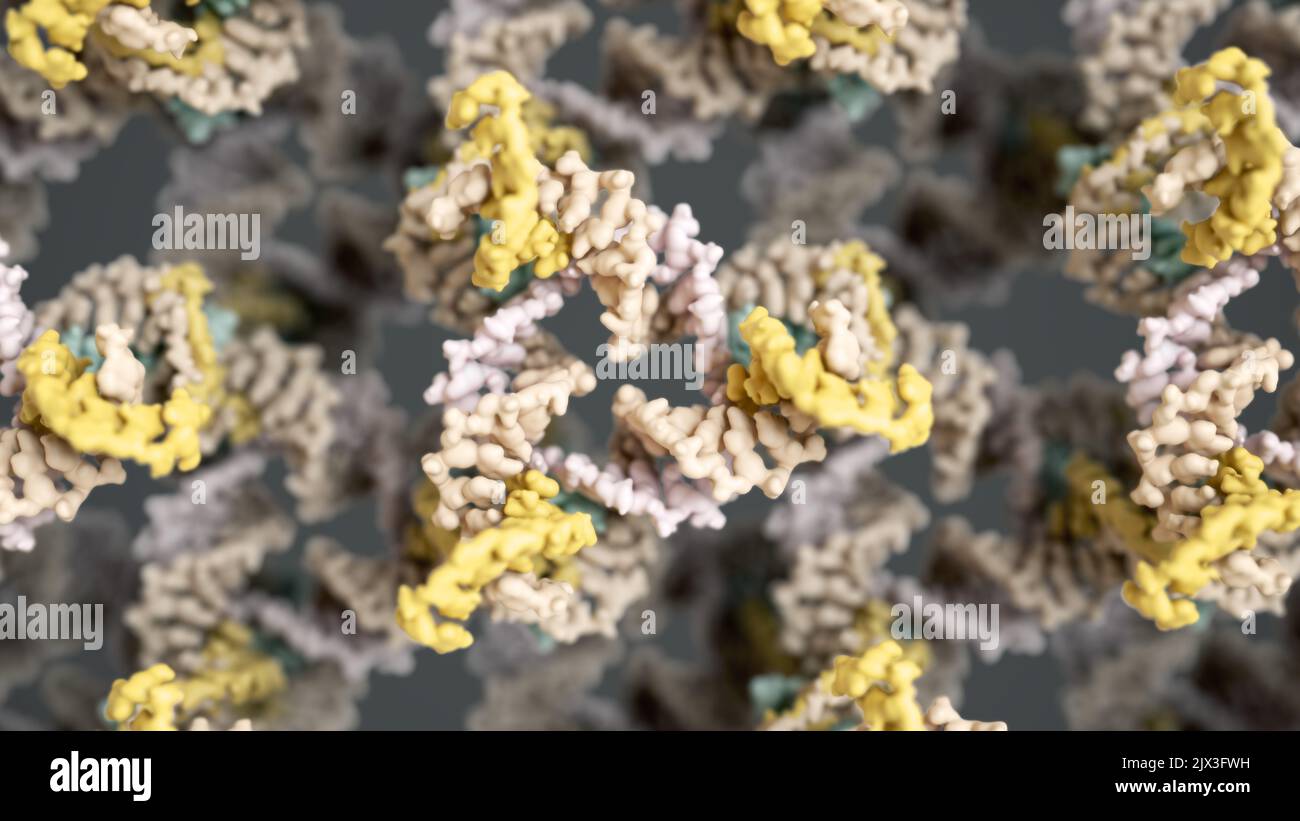 Molecular model of a 3D self-assembled crystalline lattice based on the ...