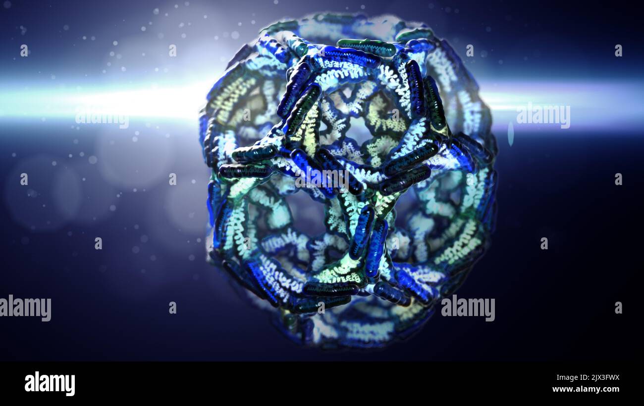 Molecular model of clathrin. Clathrin plays an essential role in the ...