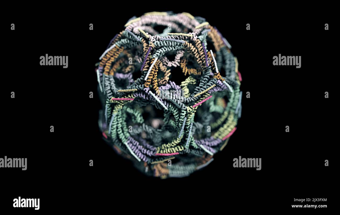 Molecular Model Of Clathrin Clathrin Plays An Essential Role In The