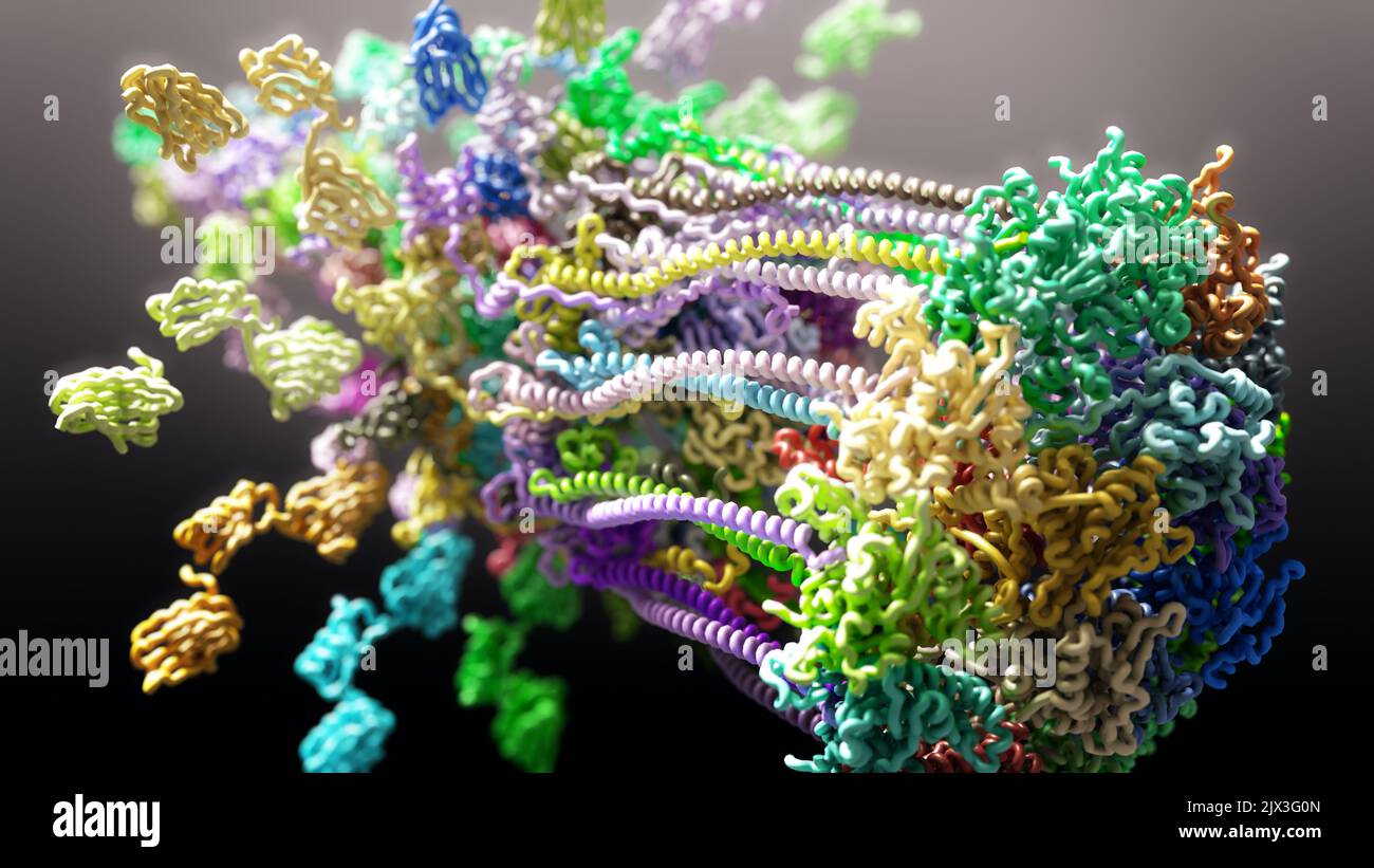 Molecular model of a pilus machine from a bacterium. A pilus is a hair ...