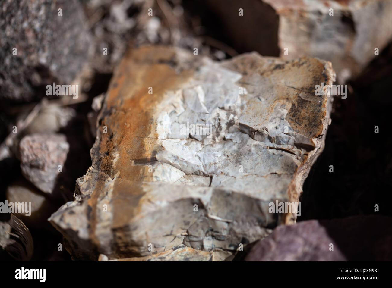 Brown and gray chert Stock Photo - Alamy