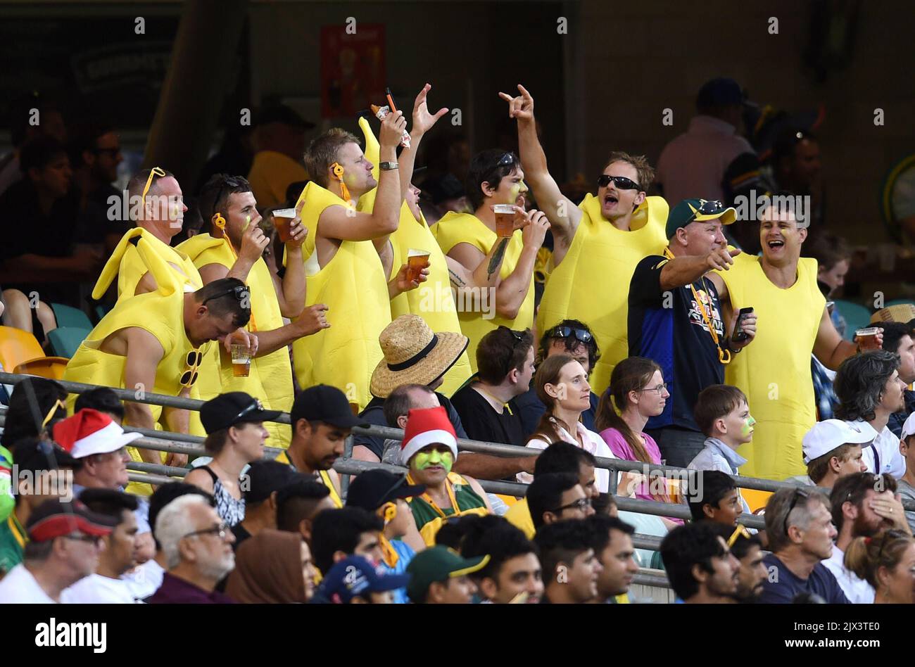 Cricket fans dressed up as bananas enjoys cheers during day 1 of the ...