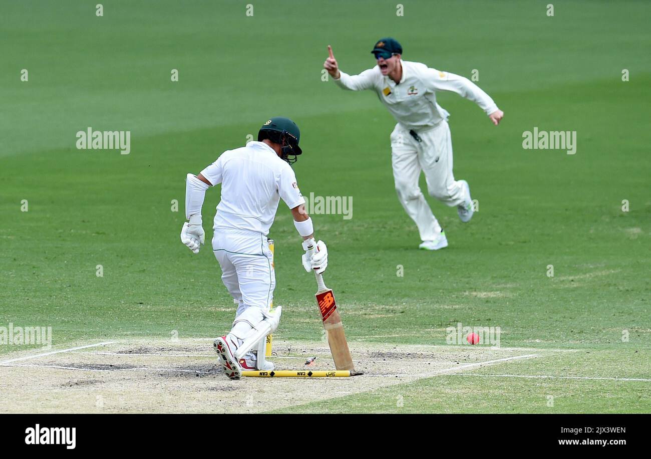 Australian captain Steve Smith (right) celebrates taking the wicket of ...