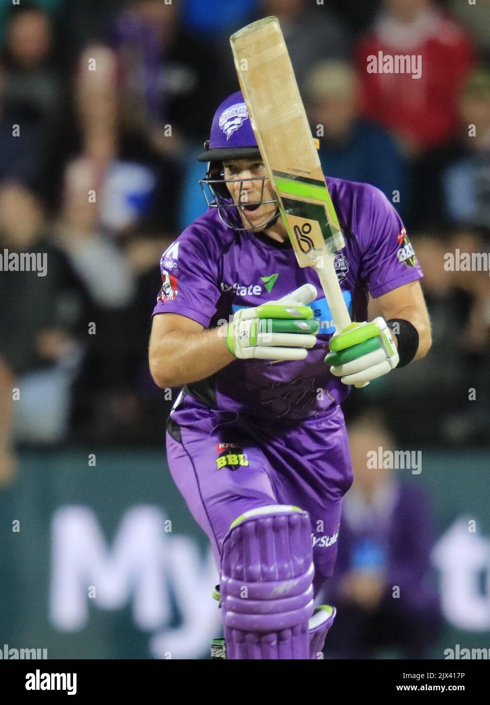 Tim Paine, Captain for the Hurricanes, during the Big Bash League (BBL ...